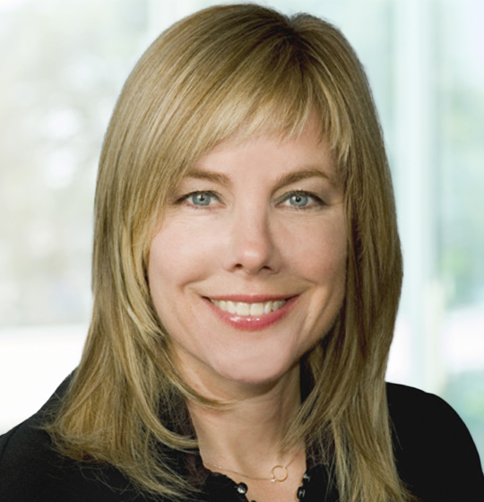 Anne E. Larson, USA | Chambers Profiles