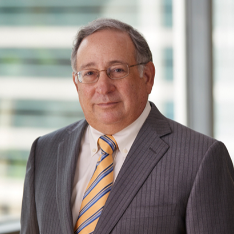 Stuart Singer, USA | Chambers Profiles