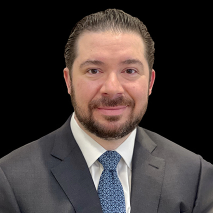 Nicholas A Palumbo, USA | Chambers Profiles