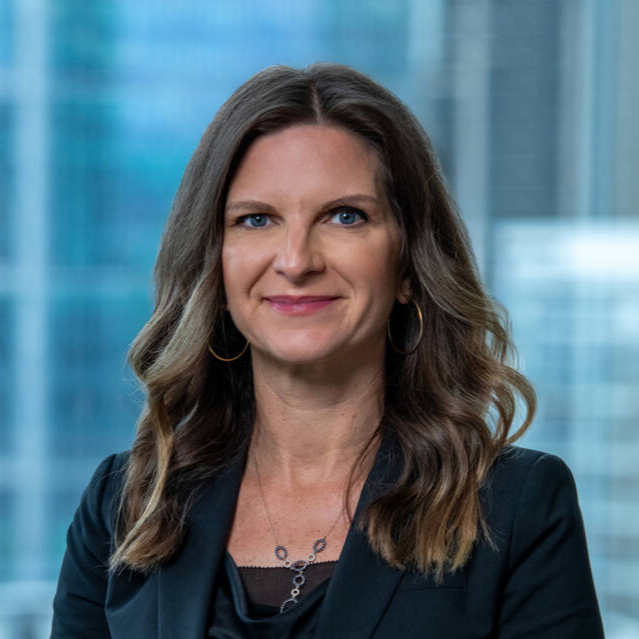 Maria Todorova, USA | Chambers Profiles